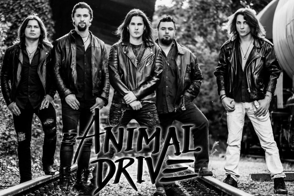 ANIMAL DRIVE, Hard Rock, Progressive Metal